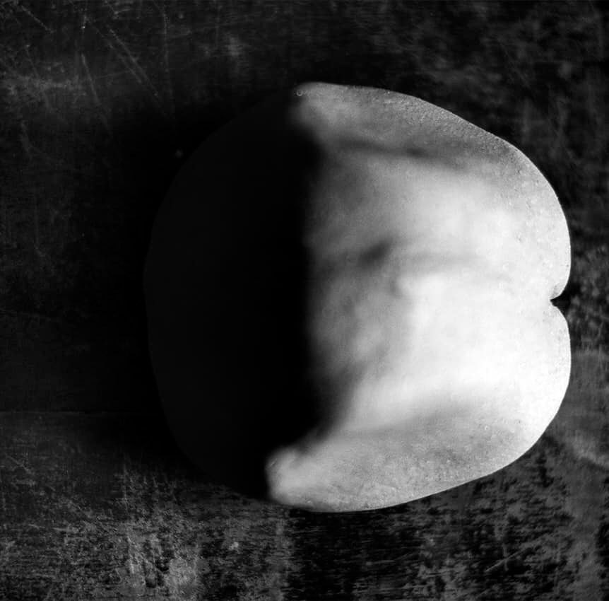 Caroline POLIKAR – Collectif ACTION HYBRIDE